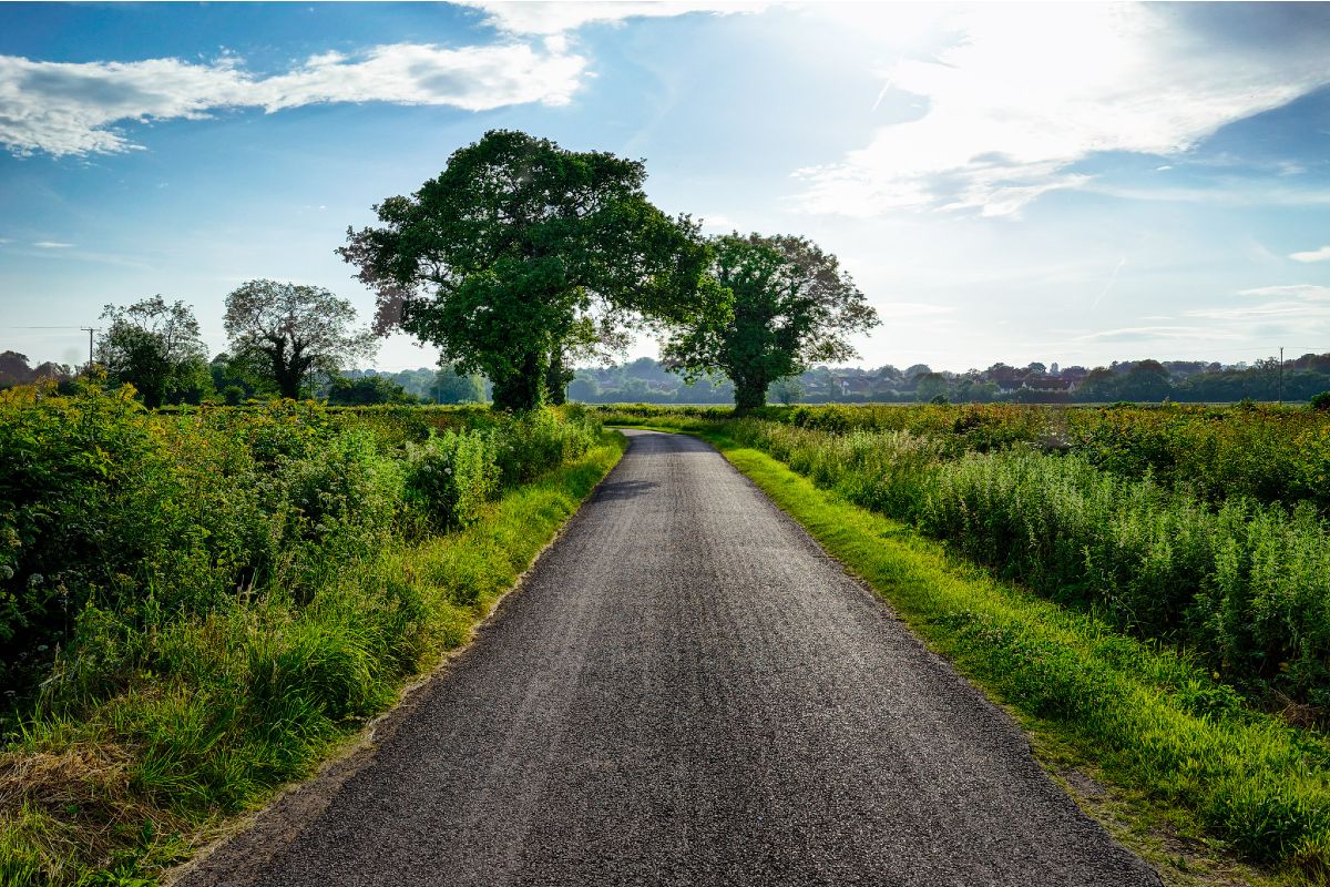 Full-Fibre Broadband In Nailsea | Truespeed